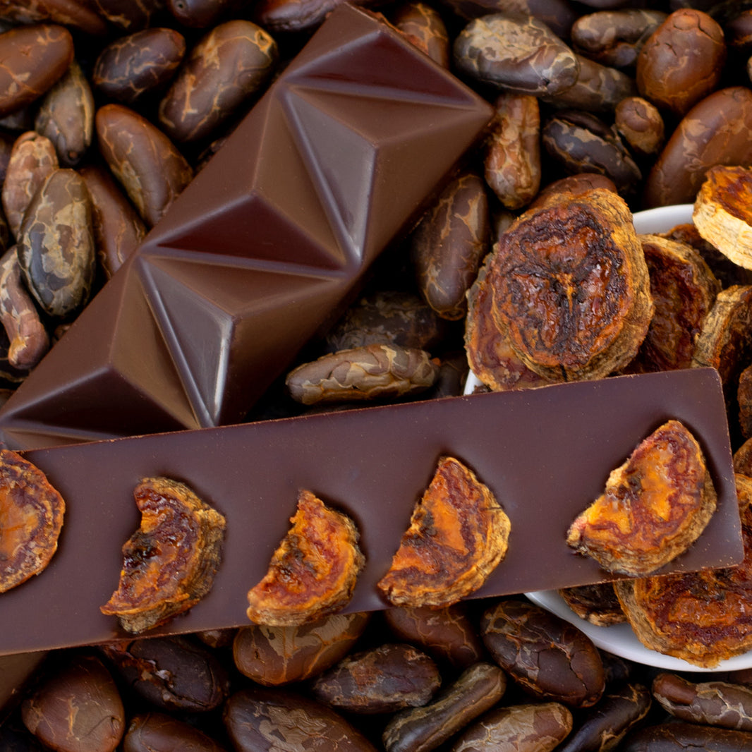 MAYA CACAO CHOCOLATES