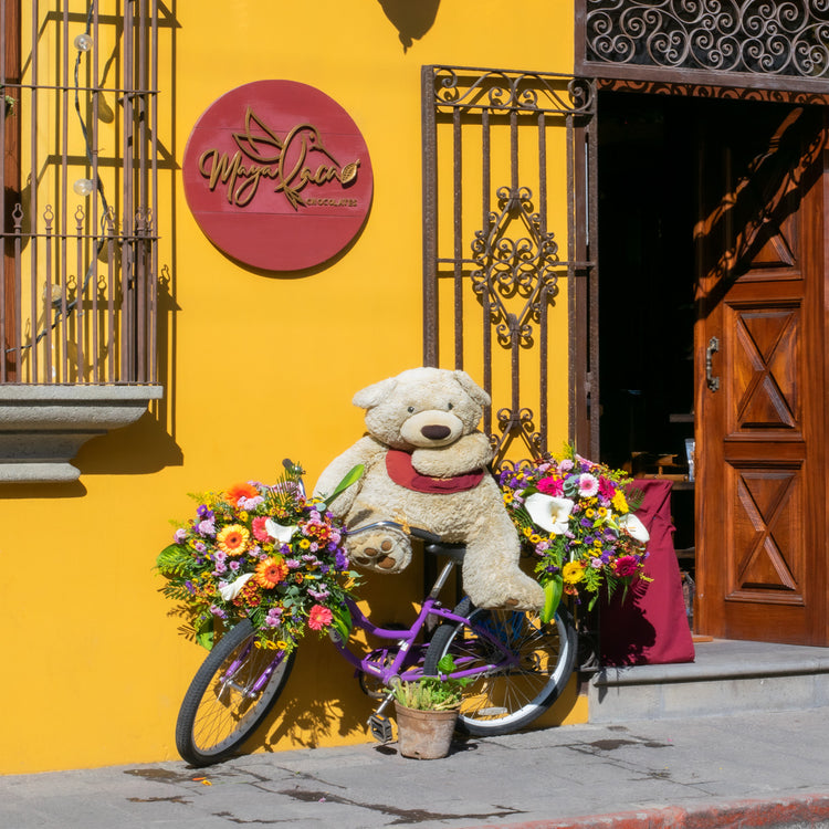 MAYA CACAO CHOCOLATES